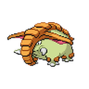Donphan Stats Guide: Tier S & Best Counters (Wiki) | ThePocketDex