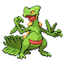 Sceptile Stats Guide: Tier S & Best Counters (Wiki) | ThePocketDex