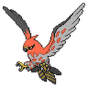 Talonflame Stats Guide: Tier S & Best Counters (Wiki) | ThePocketDex
