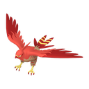 Talonflame Stats Guide: Tier S & Best Counters (Wiki) | ThePocketDex